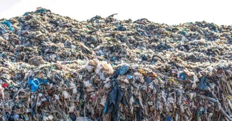 | Shein, que factura miles de millones de dólares, donará sólo € 5M ...